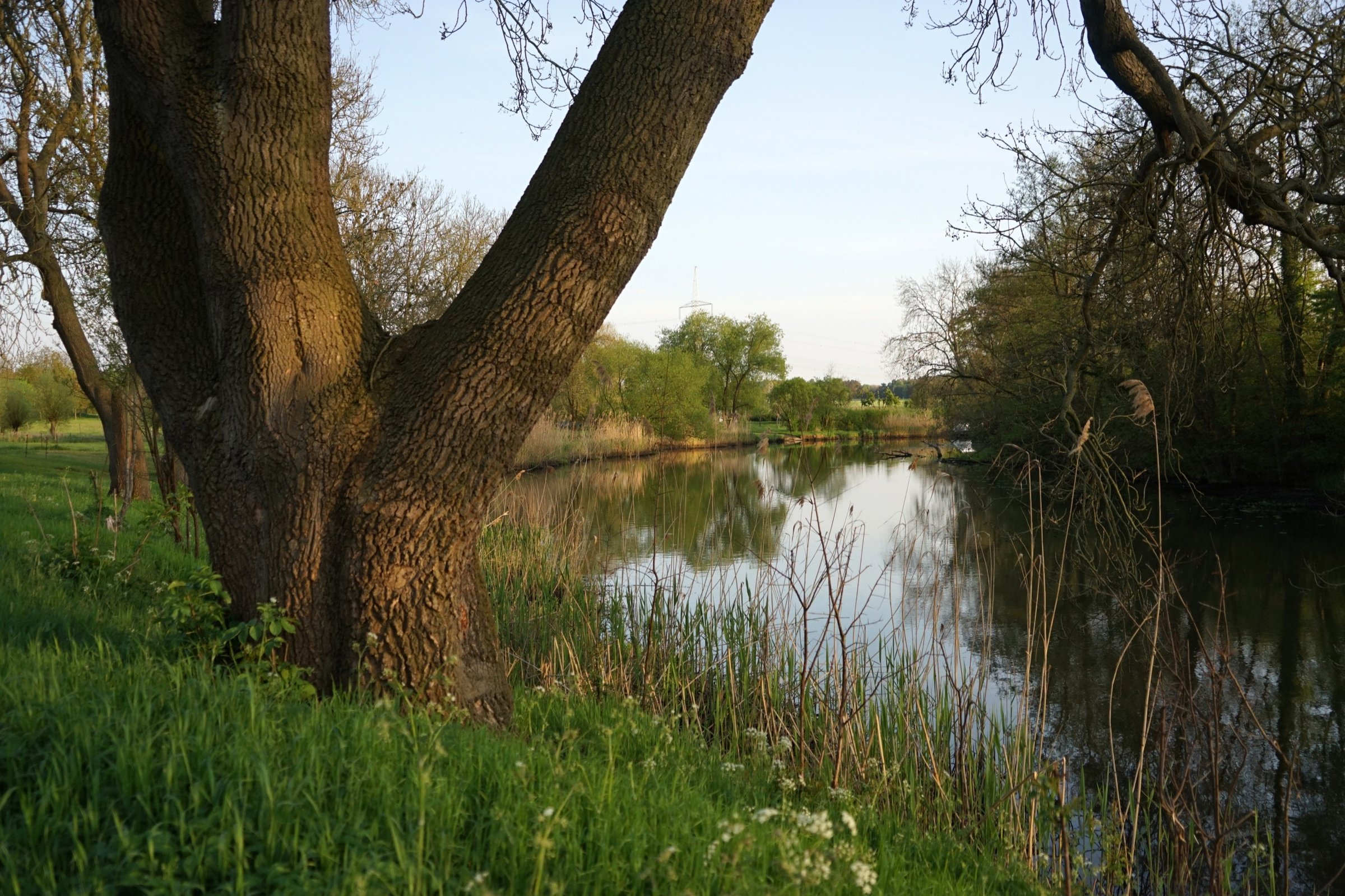 Ortschaft Derben | Gemeinde Elbe-Parey