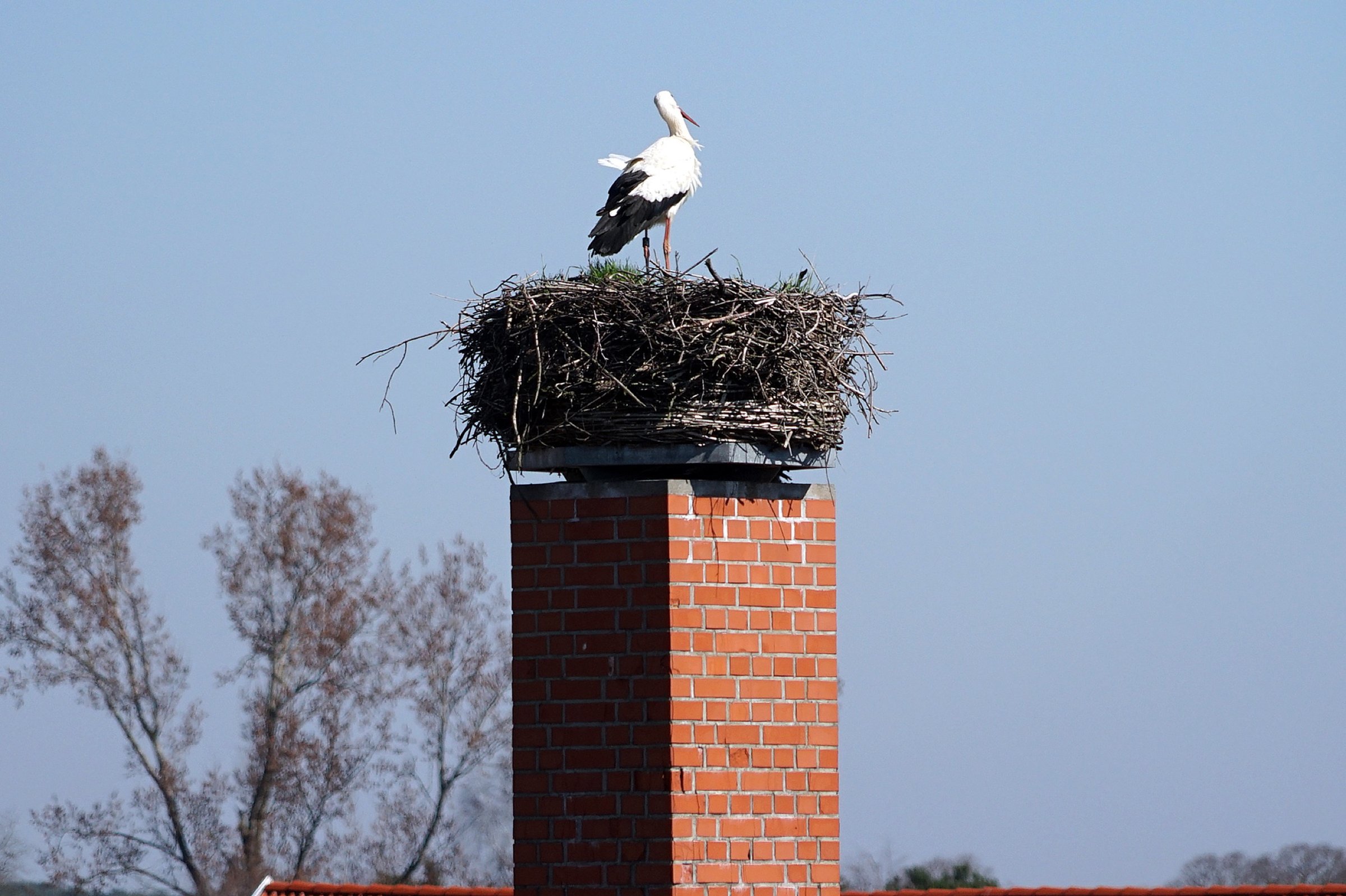 Ortschaft Parey | Gemeinde Elbe-Parey
